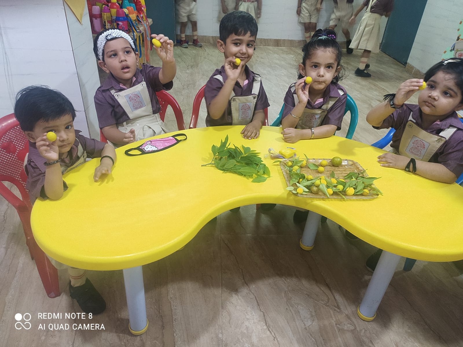 Lemon Day | Alpha Academy School.com